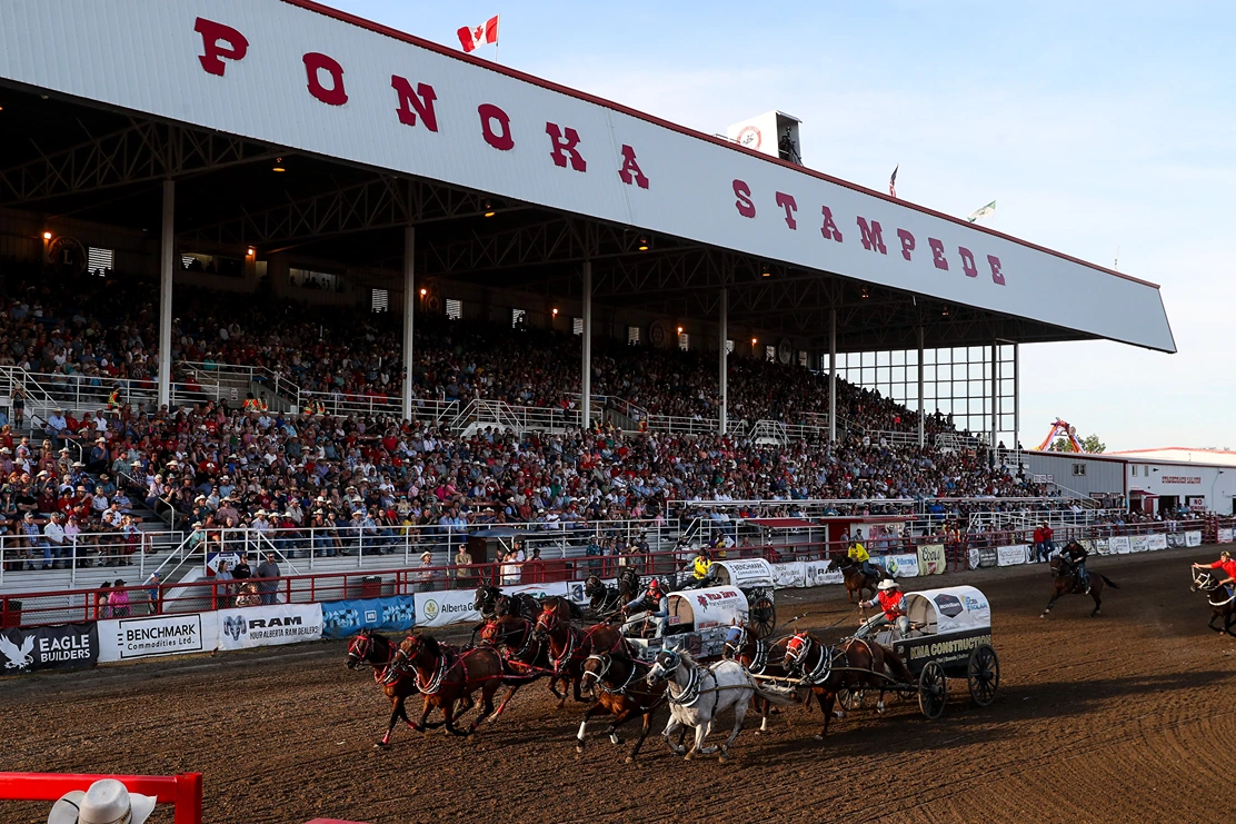 My First Rodeo - Ponoka Stampede